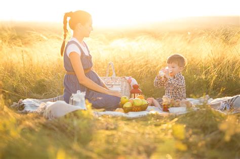 작은 귀여운 소년 아들과 그의 아름다운 임신 엄마 에 피크닉 2명에 대한 스톡 사진 및 기타 이미지 2명 가족 귀여운 Istock