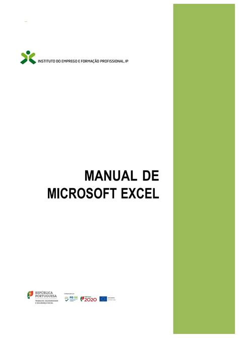 Manual Excel By Vera Paulo Issuu