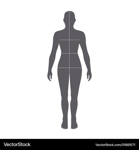 Naked Standing Fashion Woman Figure Bald Vector Image