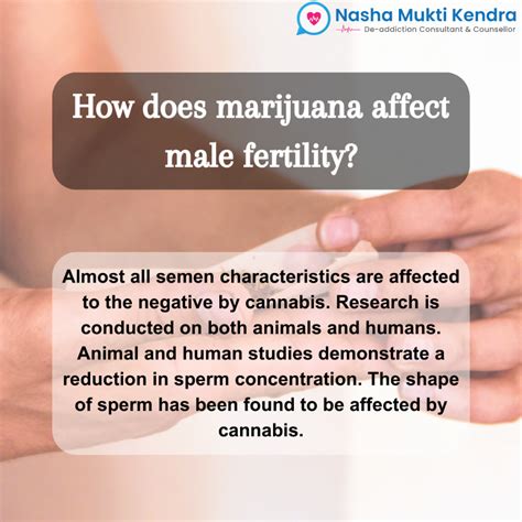 What Is Hashish Hash Nasha Mukti Kendra