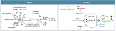 Ai大模型与向量数据库 Pgvector 墨天轮