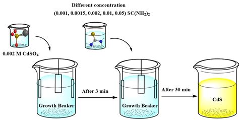 Unsaturated Solution Beaker