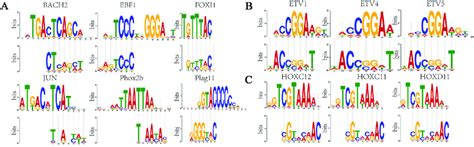 Relationships Between The First Layer In The Convolution Kernel And Download Scientific Diagram