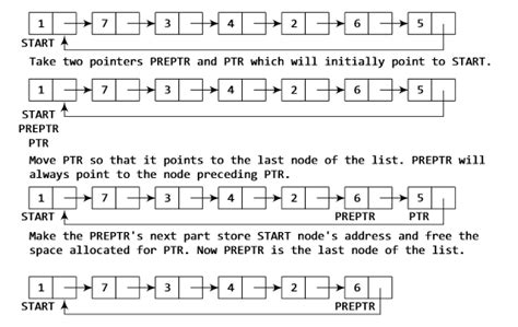 Circular Singly Linked List All C Programming And Algorithm