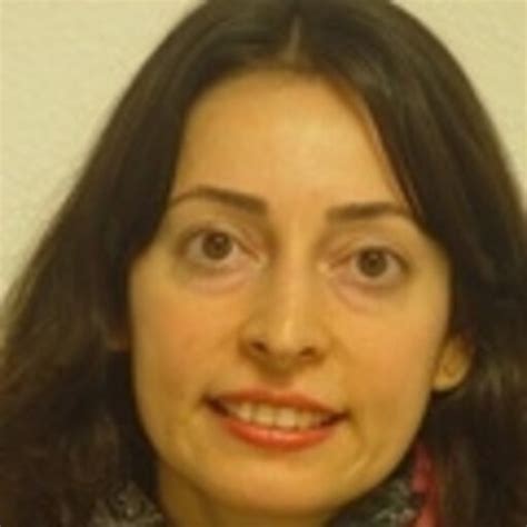 Soude Fazeli Postdoc Researcher Phd Candidate Delft University Of