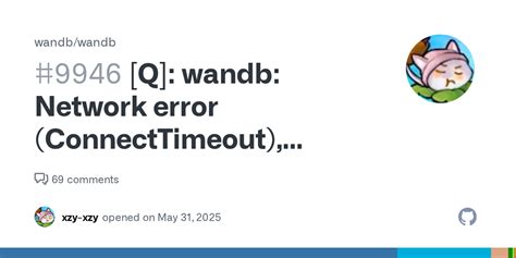 Q Wandb Network Error Connecttimeout Entering Retry Loop