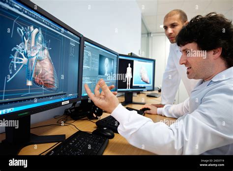 Simulation Of Organ Structurefunction Heart Image Health And Biomedical Applications