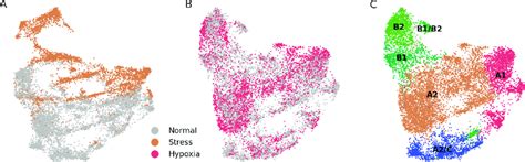 Dataset Merging Of Stress And Hypoxia Populations Show Mixed Degrees Of Download Scientific