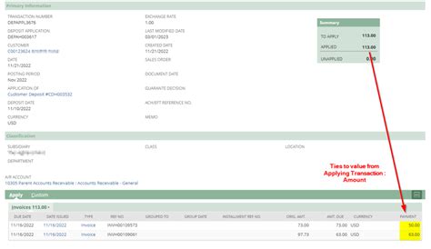 How To Easily Expose Netsuite Unapplied Customer Deposit Or Payment Amount In A Saved Search