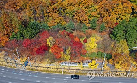 도심 가득 물든 가을 연합뉴스