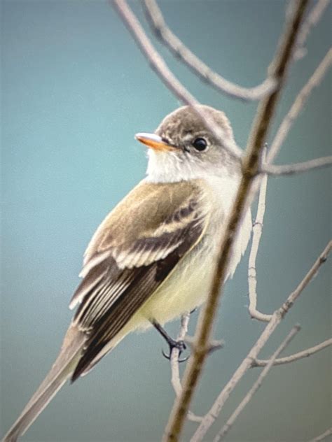 Michael Taccetta Fotografie