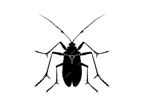 Assassin Bug Vector Silhouettes Halloween Insect Art Premium Ai