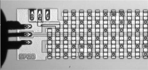 Schematic Cross Section Of The Fabricated Test Chip Download Scientific Diagram