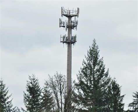 Types Of Cell Towers And Cell Tower Designs Terabonne