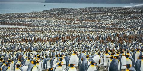 Decentralized Voting System For The Blockchain Community HackerNoon