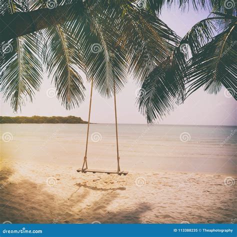 Swing On Palm Tree Royalty Free Stock Image 2063758
