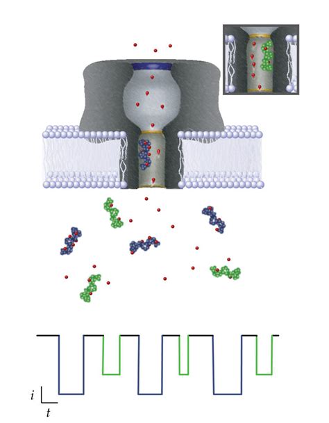 Nanopore Based Single Molecule Mass Spectrometry