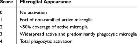 Semi Quantitative Score For Iba 1 Staining Download Scientific Diagram