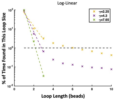 Frequency Of Loop Sizes In Log Linear Scaling Xs Denote Simulation Download Scientific
