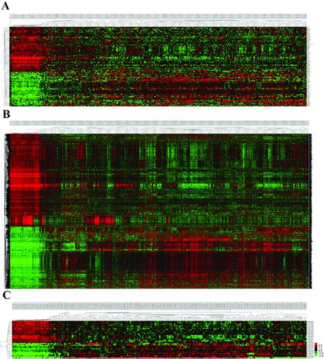 the differential expression of intersected rnas in lusc a lncrnas