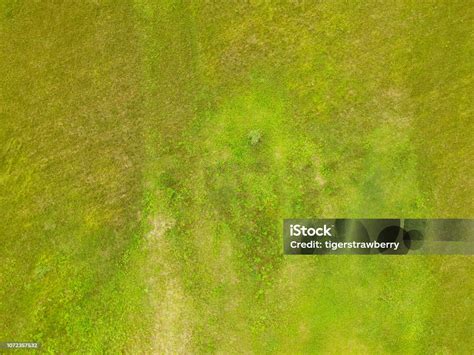 녹색 잔디 텍스처입니다 공중 녹색 잔디 잔디입니다 축구 또는 축구 필드 배경 골프 녹지 자연 피치 위에서 평면 정원입니다 0명에 대한 스톡 사진 및 기타 이미지 Istock