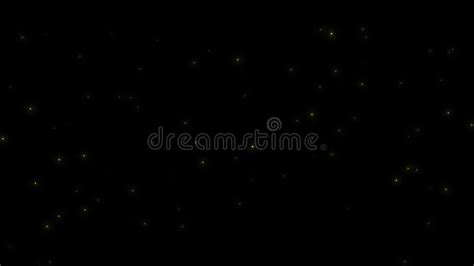 Fireflies Animation Fireflies Background Animation Fireflies Loop Animation Stock Video