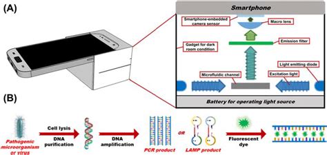 3 A Schematic Illustration Of Smartphone Embedded Fluorescence Download Scientific Diagram
