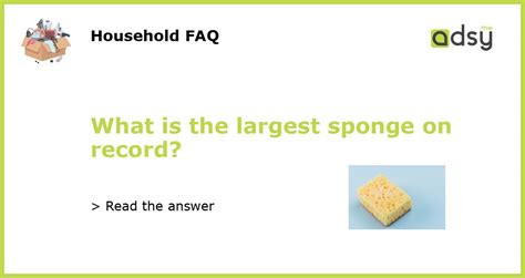 What Is The Largest Sponge On Record