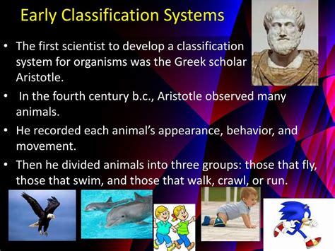 Ppt Classifying Organisms Powerpoint Presentation Free Download Id 2245396