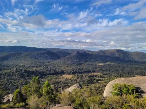 Best 10 Hikes And Trails In Girraween National Park Alltrails