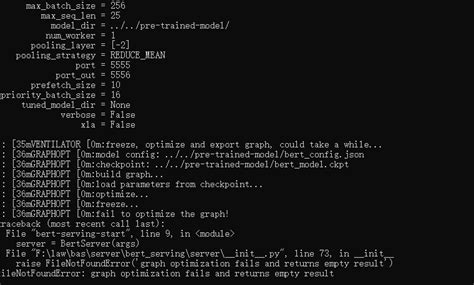 On Windows Filenotfounderror Graph Optimization Fails And Returns