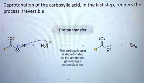Deprotonation Of The Carboxylic Acid In The Last Step Renders The