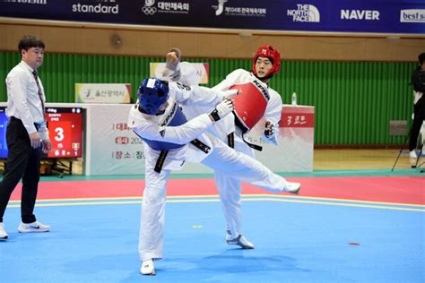 장흥군서 전국체전 태권도 ‘금빛 발차기