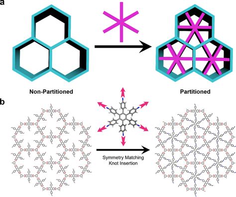 Illustration Of Pore Partition Strategy A Graphical Representation Of Download Scientific