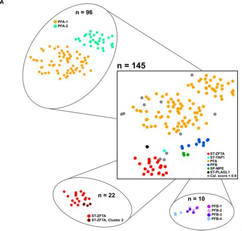 Dna Methylation Profiling Results T Sne Plot Visualizing Download Scientific Diagram