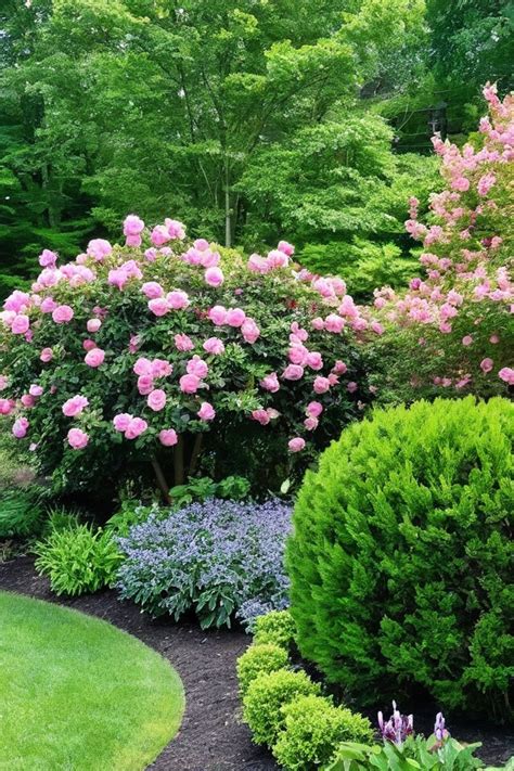11 Best Flowering Shrubs For Zone 5