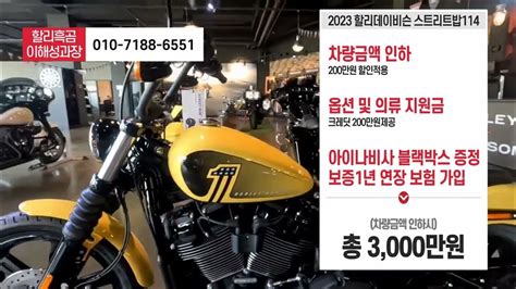 이달의 할리 프로모션 2023 할리데이비슨 스탠다드 스트리트밥 시리즈 파격 프로모션 Youtube