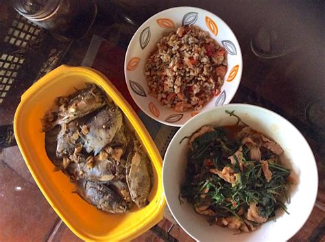 Itlog Ng Hantik Ants Eggs Exotic Food In The Philippines