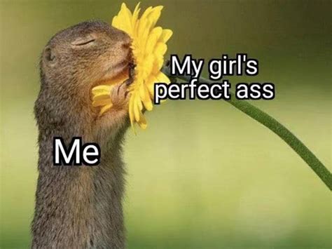 Funny Nsfw Memes