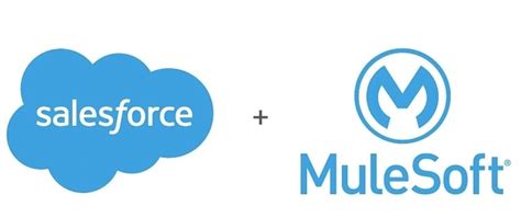 Updating Record In Salesforce With Mulesoft Dev Community