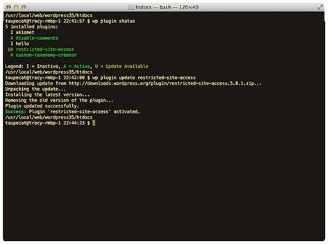 Tame Wordpress From The Command Line With Wp Cli Treehouse Blog