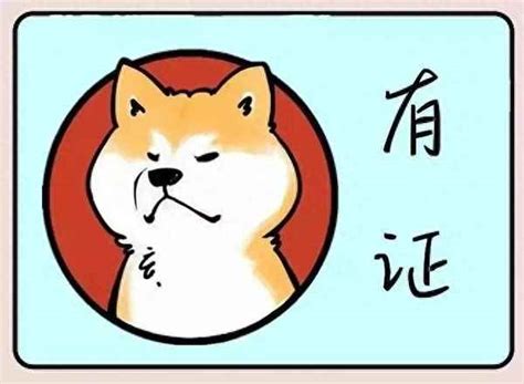 物业文明养犬的通知 物业文明养犬的通知怎么写 考试信息 华网