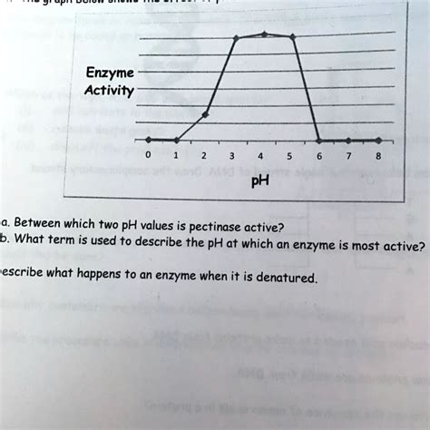 Using The Graph Between Which Two Ph Values Is Pectinase Active