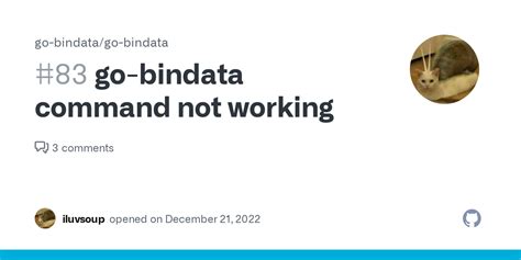 Go Bindata Command Not Working · Issue 83 · Go Bindatago Bindata · Github