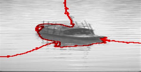 Image Segmentation Results First And Fourth Rows Original Images