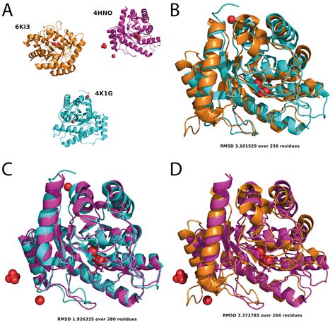 Structural Bioinformatics Protein Databases
