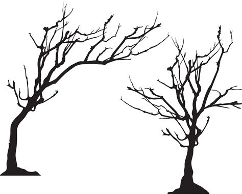 Silhouette Of Tree Without Leaves Vector Art At Vecteezy