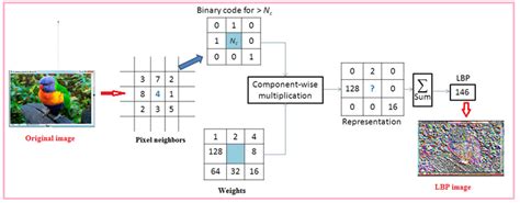 Calculating Lbp Operators To Form Lbpimage Download Scientific Diagram
