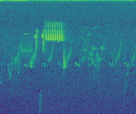 Spectrogram Peak Detection With Scipy