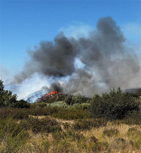 Brush Fire Scorches 72 Acres In Phelan Firefighters Stop Spread